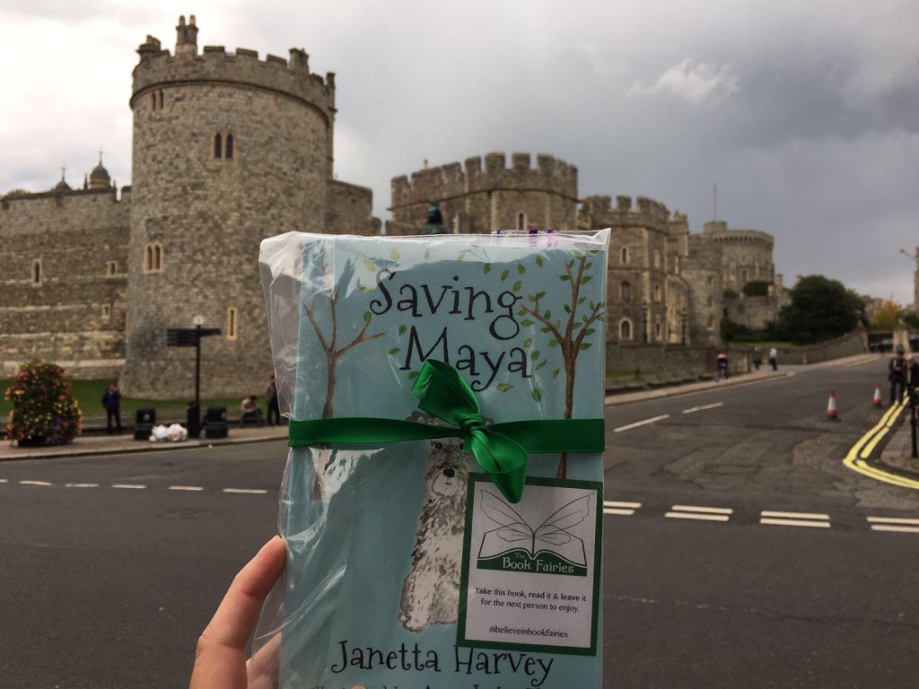 A Royal Appointment for Saving Maya