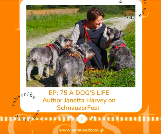 Talking to Anna Webb about the important things in my life - Janetta Harvey